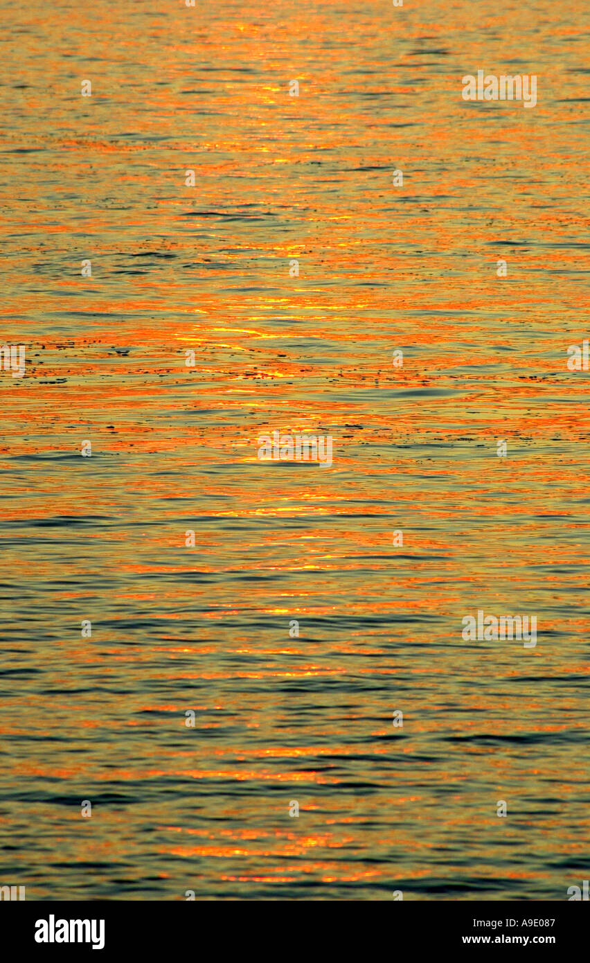 Vertical color image of water in ocean along Florida coast Stock Photo ...