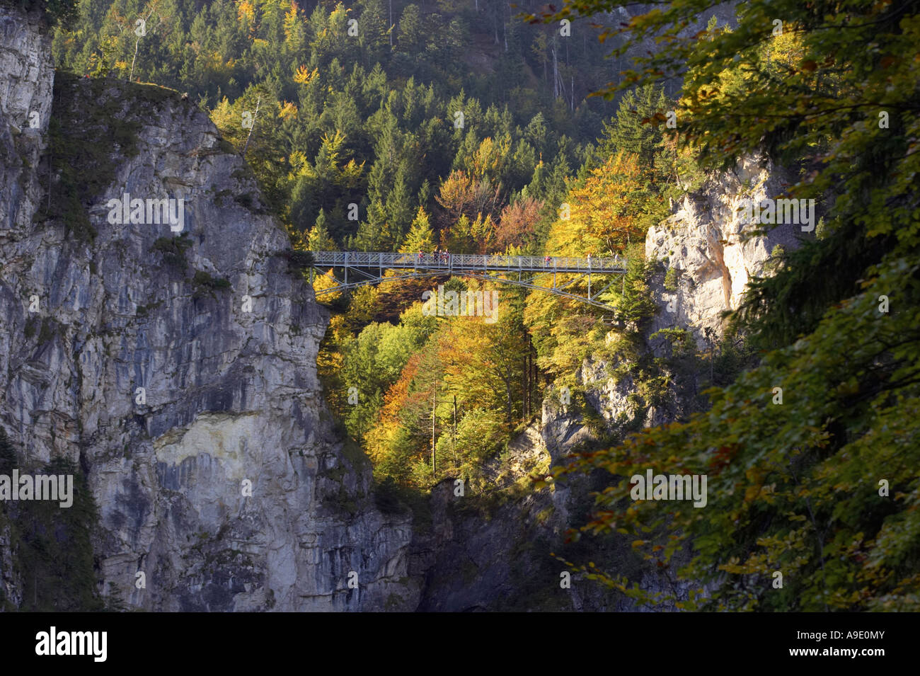 Marienbrücke Marys Bridge Neuschwanstein Castle Bavaria Germany Stock ...