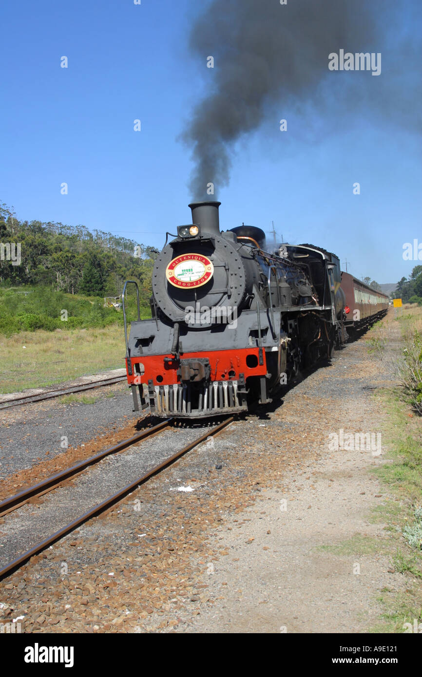 The Lowry Park Choo Choo Train Colored Steam Locomotives