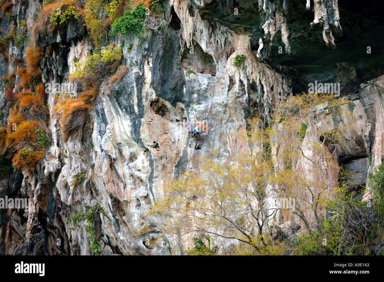 Rock climbing Tonsai Bay Phranang Krabi Thailand model release 382 ...