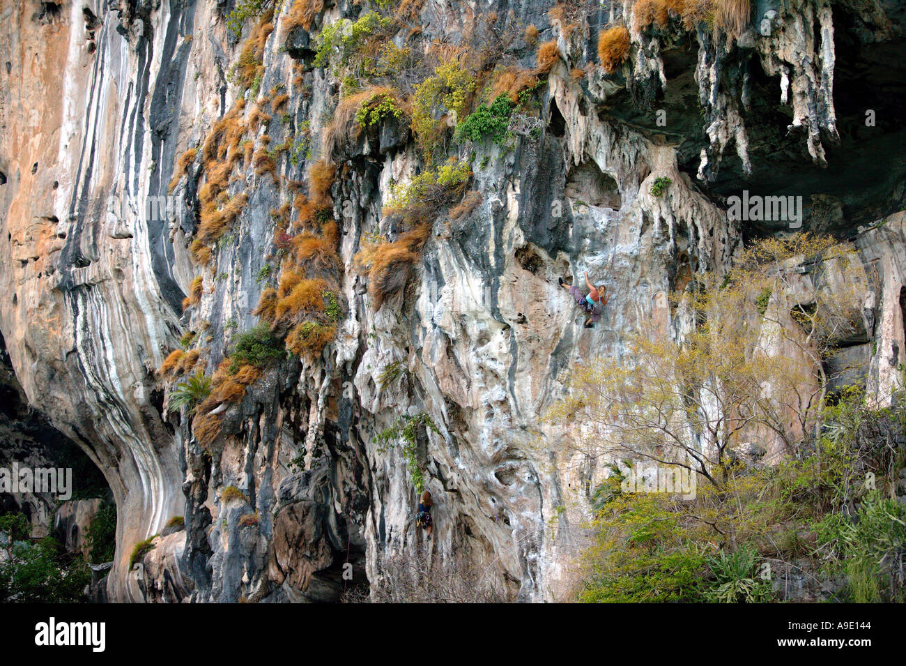 Rock climbing Tonsai Bay Phranang Krabi Thailand model release 382 ...