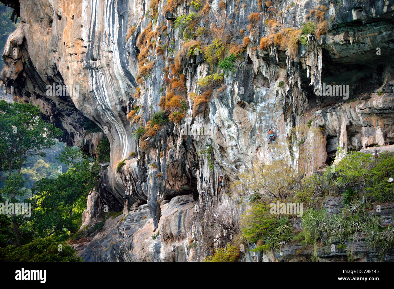 Rock climbing Tonsai Bay Phranang Krabi Thailand model release 382 ...