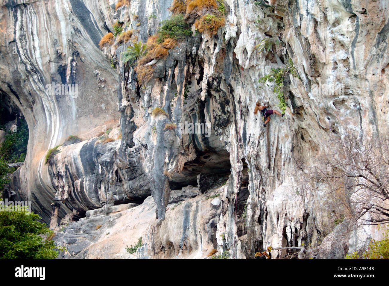 Rock climbing Tonsai Bay Phranang Krabi Thailand model release 381 ...