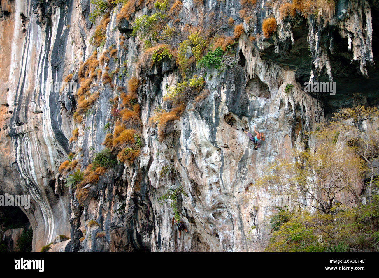 Rock climbing Tonsai Bay Phranang Krabi Thailand model release 382 ...