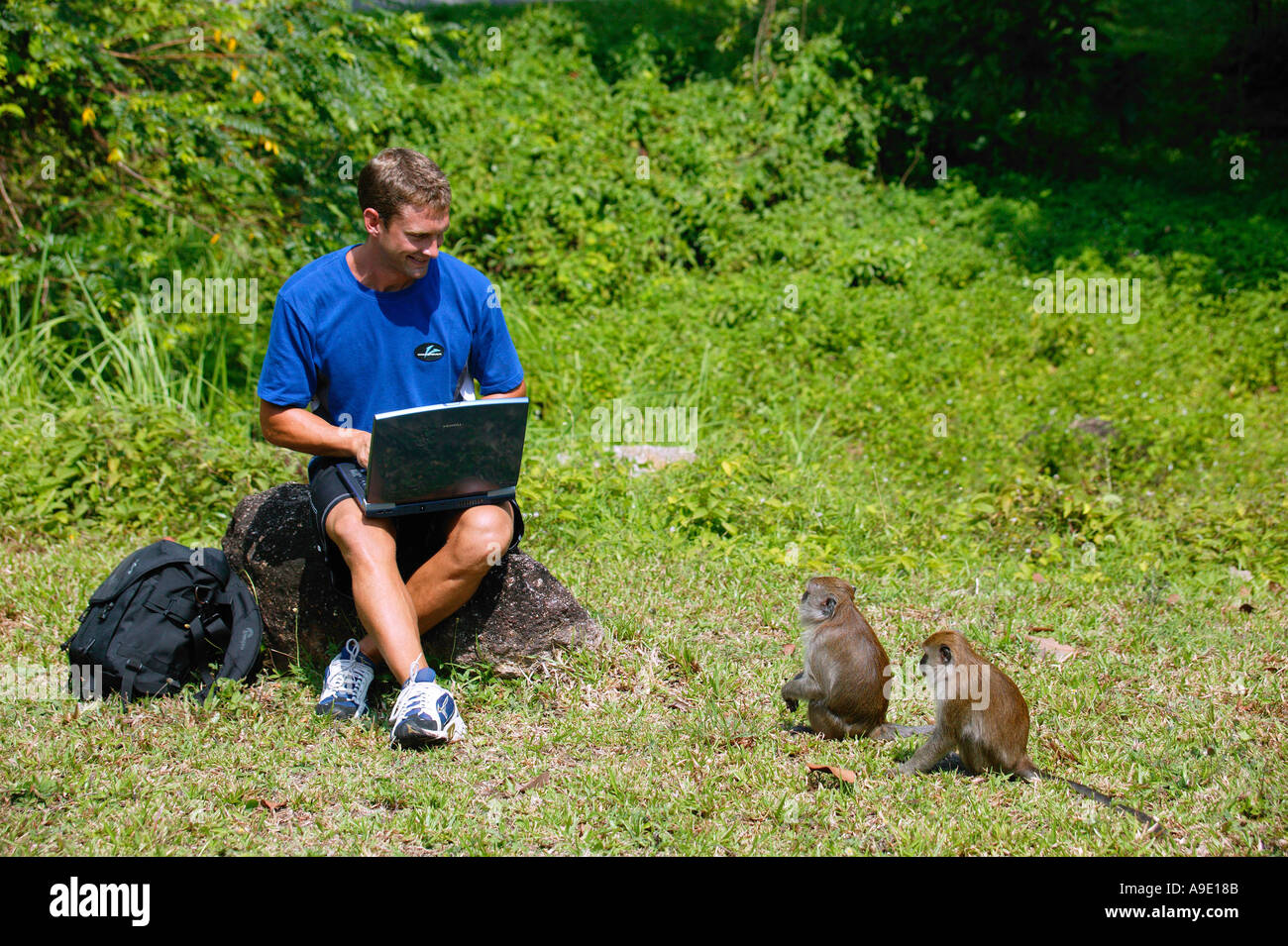 Toshiba Laptop computer being used out of office model release 229 ...