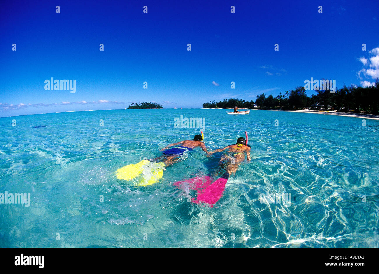 Snorkelling Pacific Resort Rarotonga Model releases 205 224 Stock Photo ...