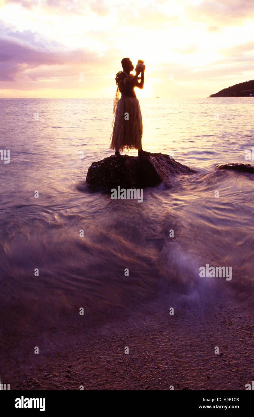 Fijian warrior blowing conch shell at sunset on beach Stock Photo - Alamy