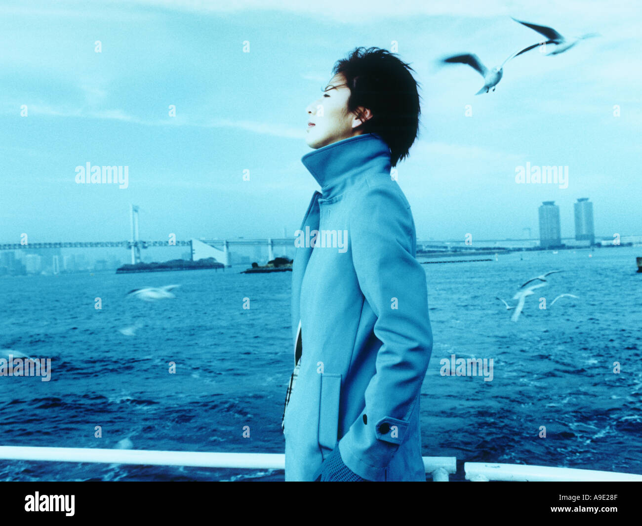 Tokyo Photo Bus Bay Area 1 Stock Photo - Alamy