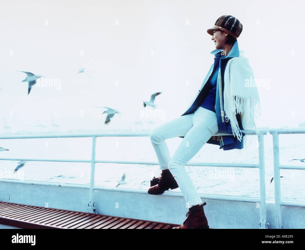 Tokyo Photo Bus Bay Area 1 Stock Photo - Alamy