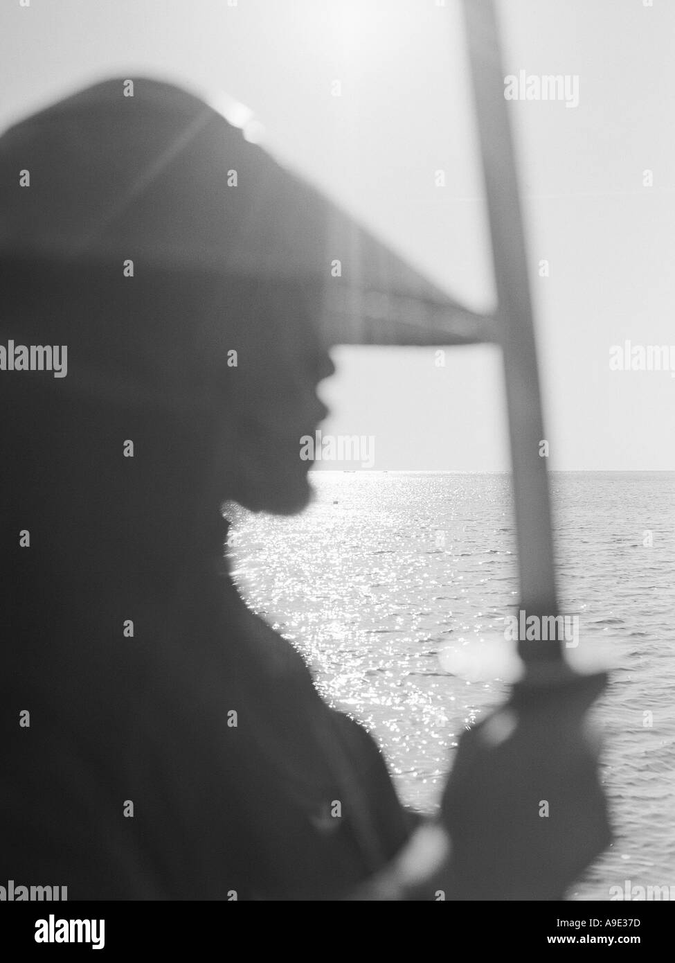 Samurai with raised sword hi-res stock photography and images - Alamy