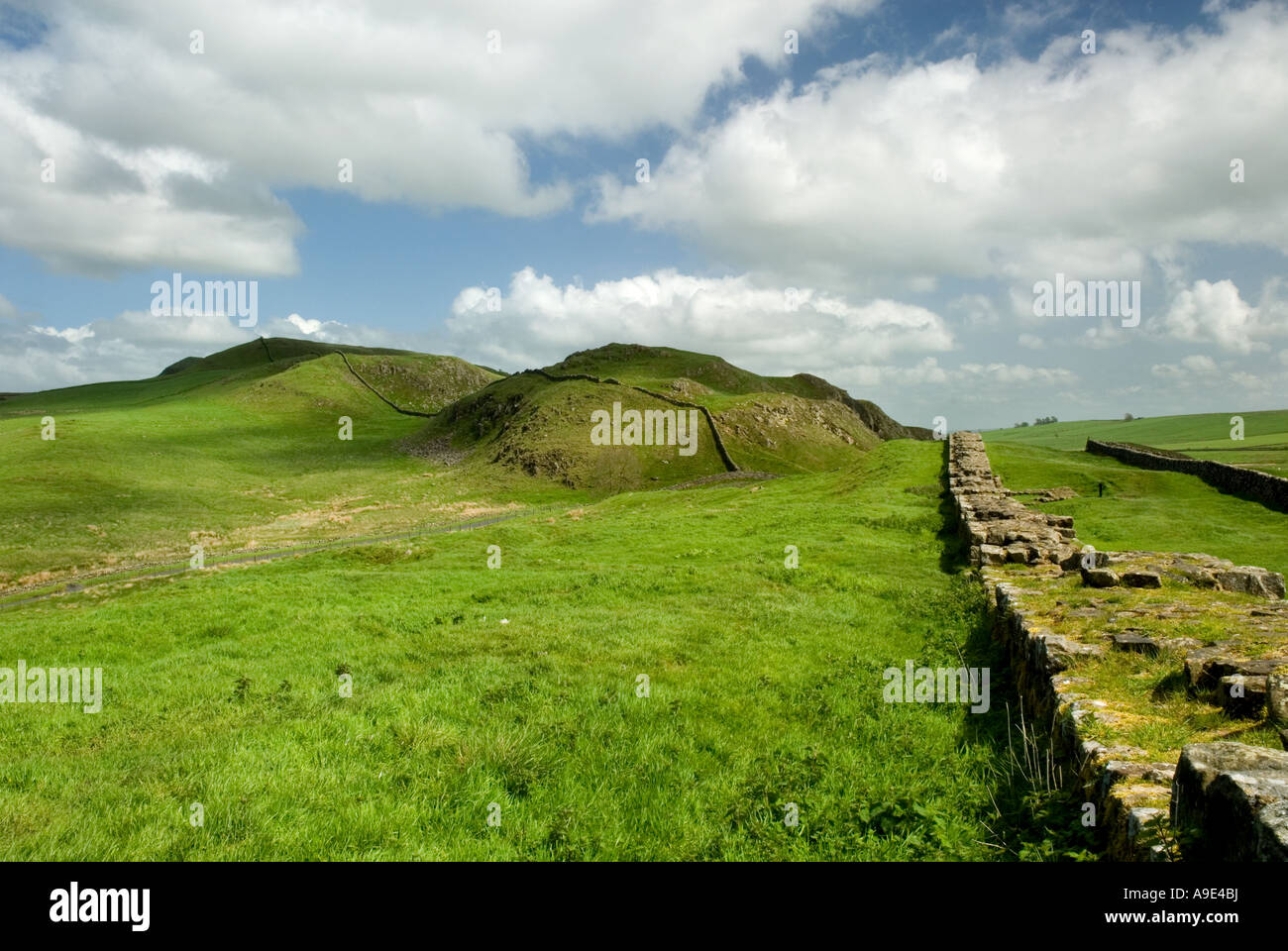 Hadrians wall caw gap hi-res stock photography and images - Alamy