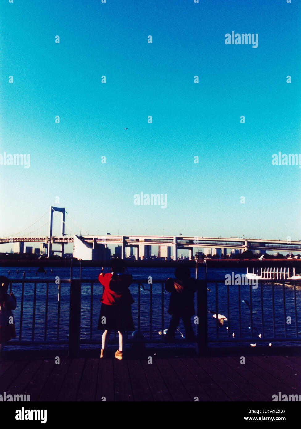 Tokyo Photo Bus Bay Area 2 Stock Photo - Alamy