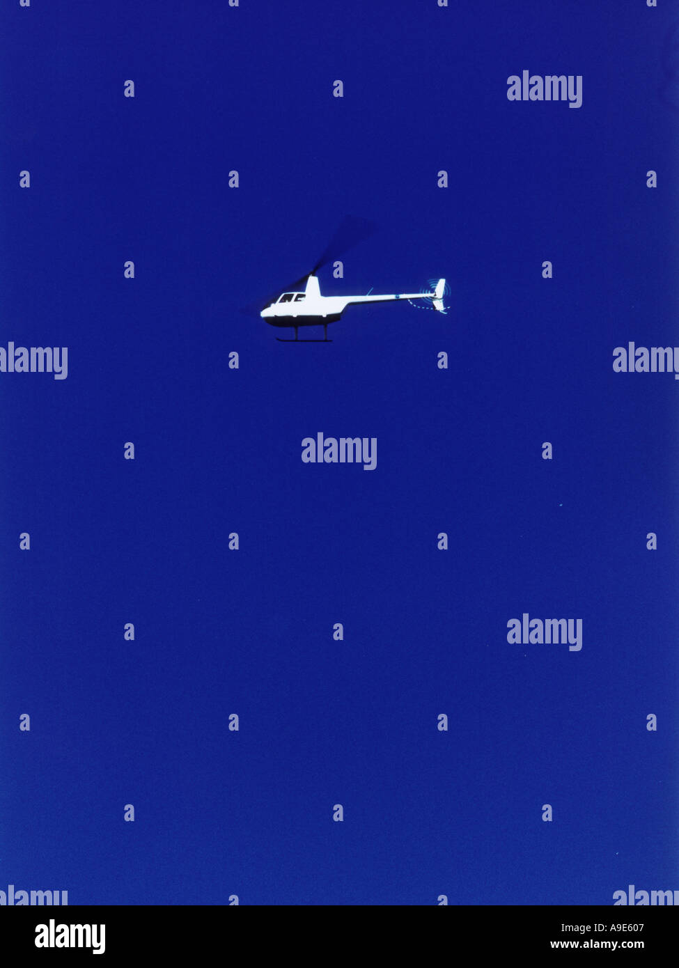 Tokyo Photo Bus Bay Area 2 Stock Photo - Alamy