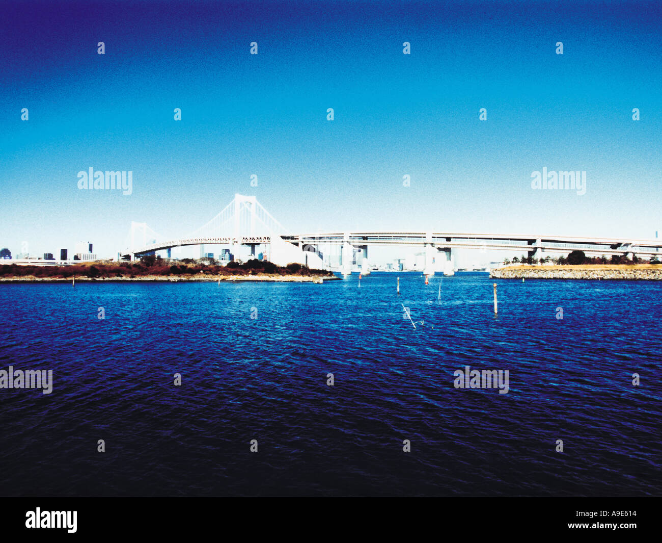 Tokyo Photo Bus Bay Area 2 Stock Photo - Alamy