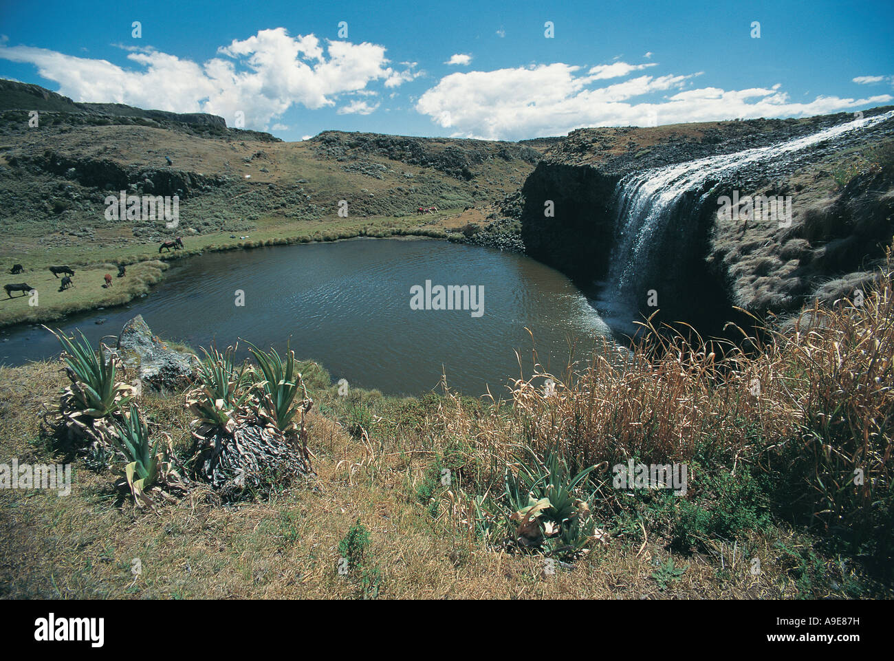 Waterfall into a lake on Bale Mountains Ethiopia Stock Photo - Alamy