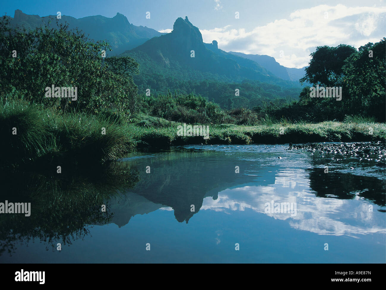 Gujuralle Peaks Harenna Forest stream and lake Bale Mountains National ...