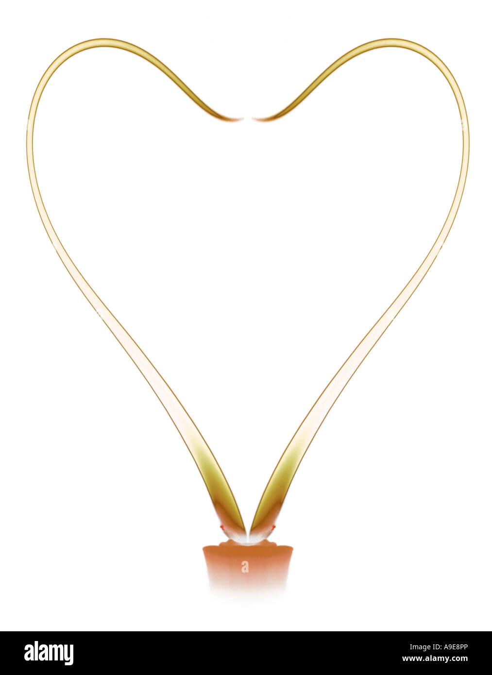 Inverted heart hi-res stock photography and images - Alamy