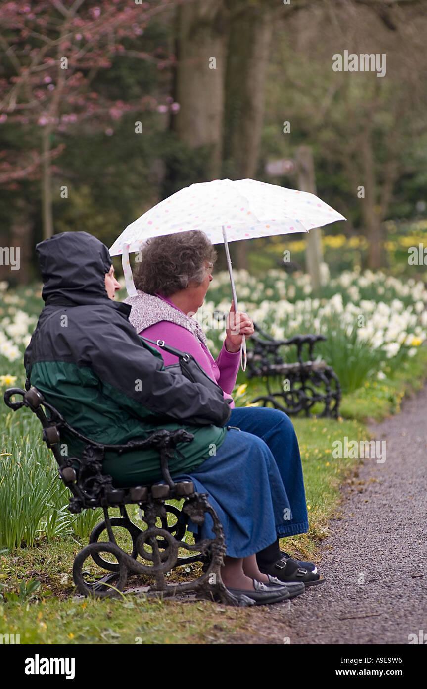 A Wet Day in the Park Stock Photo - Alamy