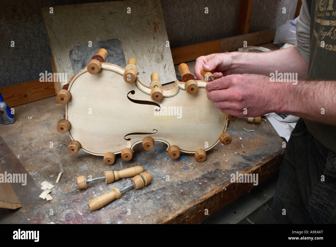 A violin maker fitting clamps to the body Stock Photo - Alamy