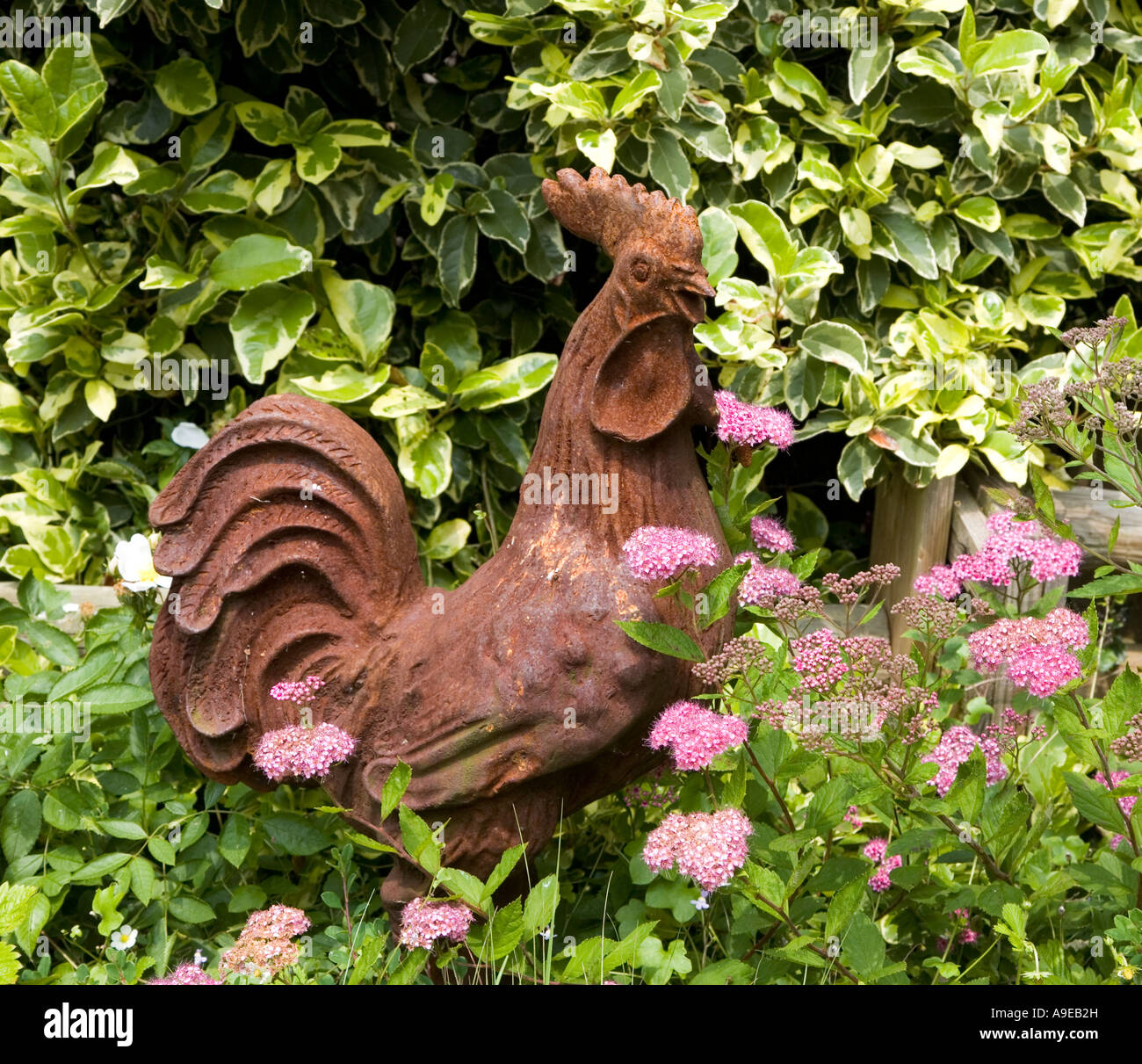 Metal ornamental chicken going rusty in garden Wales UK Stock Photo - Alamy