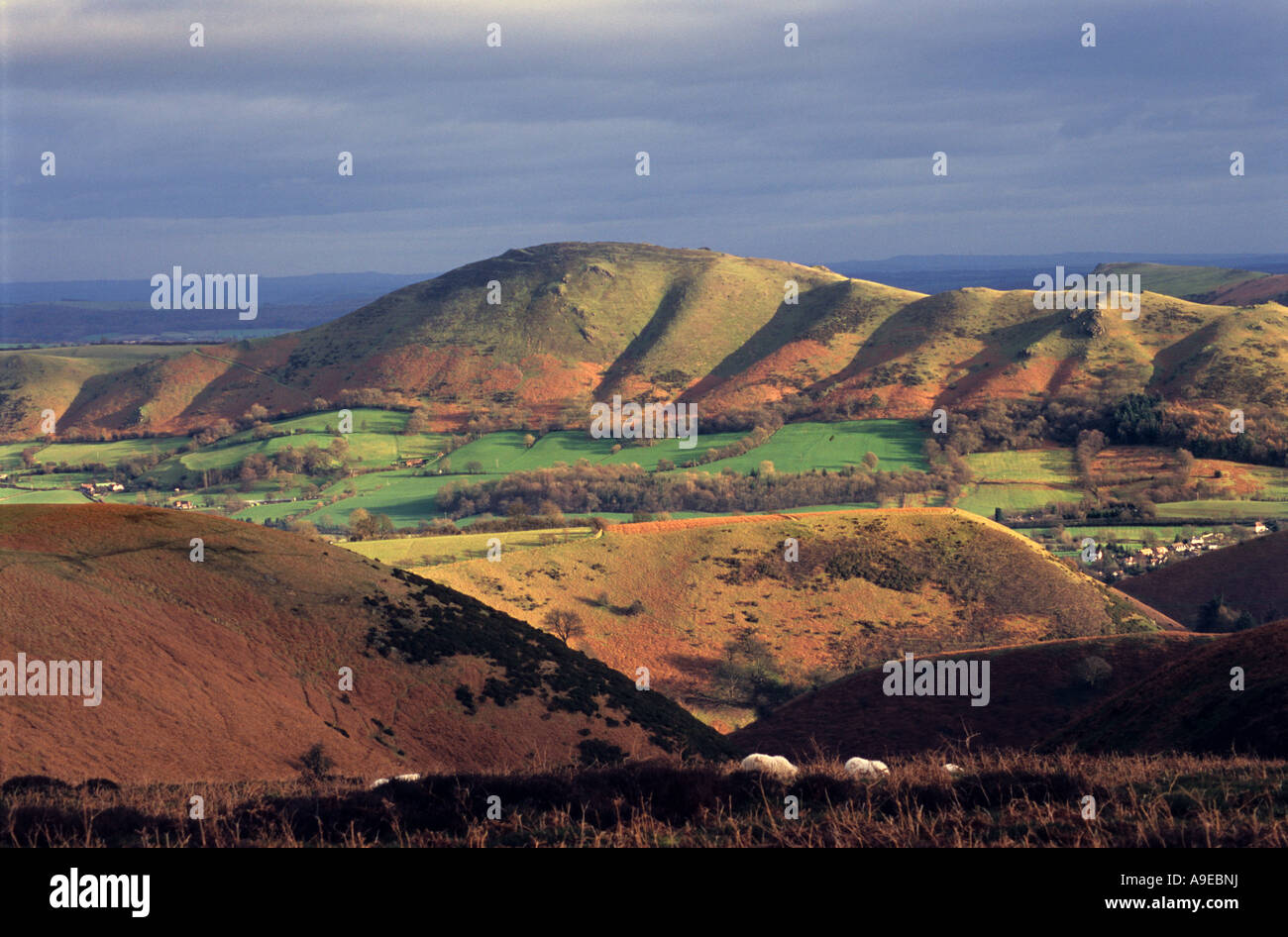 View of Caer Caradoc hill from The Long Mynd, Shropshire, England Stock ...