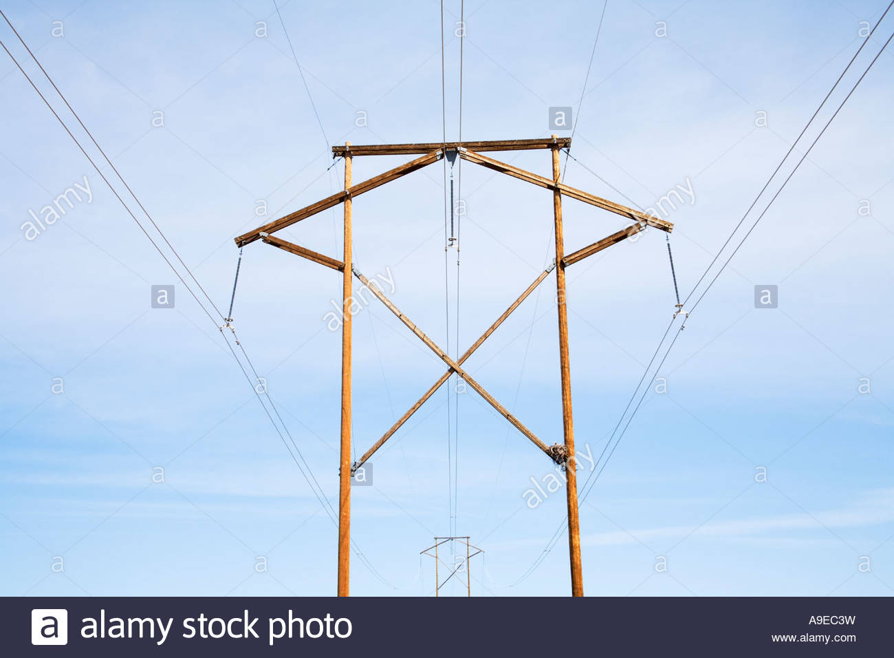 Electric Transmission Lines Wooden Poles High Resolution Stock ...