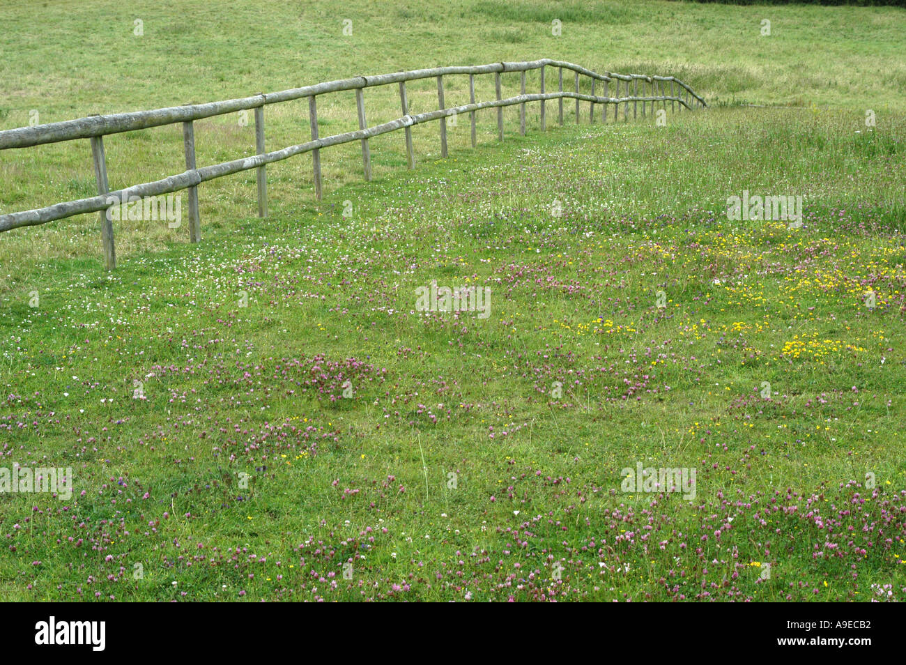 Cotswold field with fence Stock Photo - Alamy