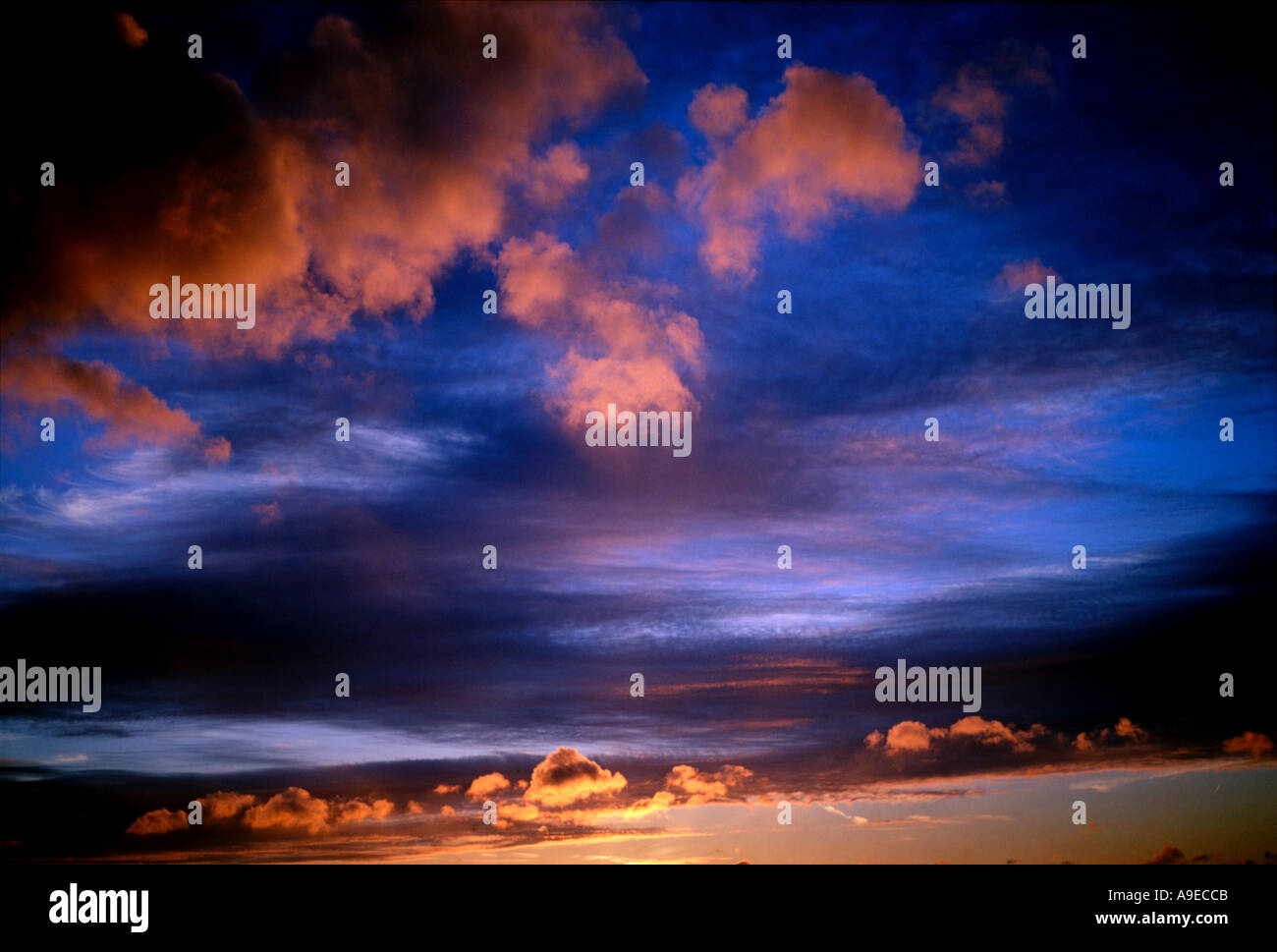 evening sunset sky with rich colours over norfolk England UK britain ...