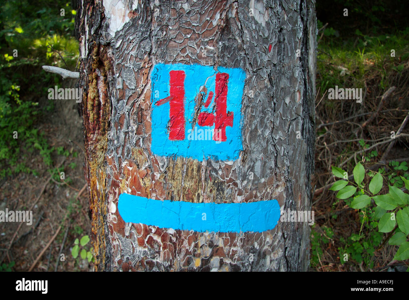 Aged marker High Resolution Stock Photography and Images - Alamy