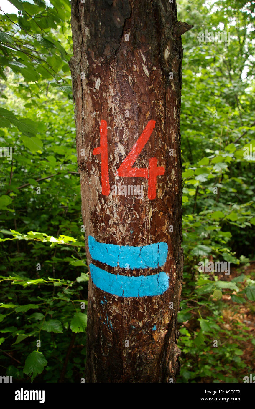 Via della villa hi-res stock photography and images - Alamy