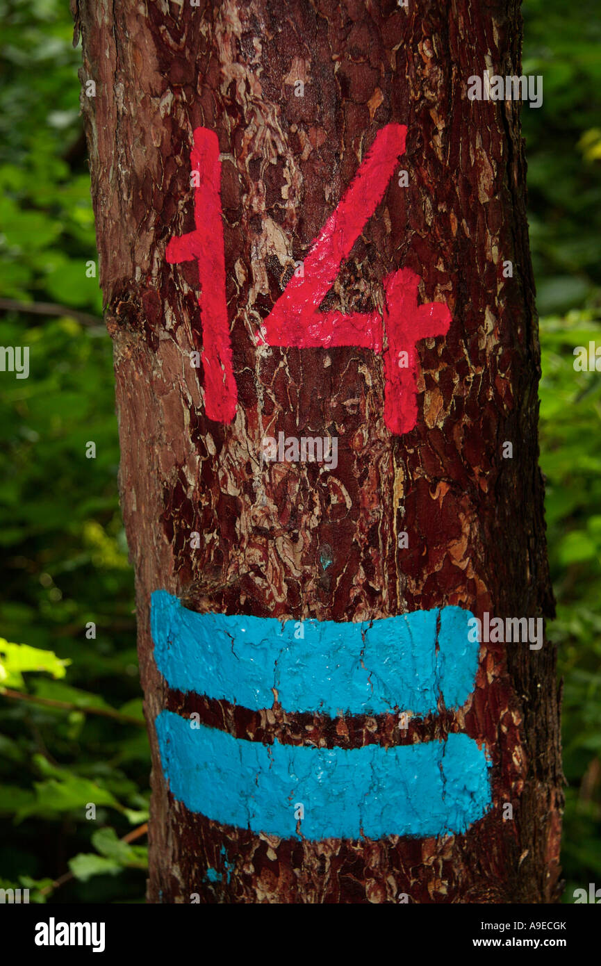 Tree signed with number 14 Stock Photo - Alamy