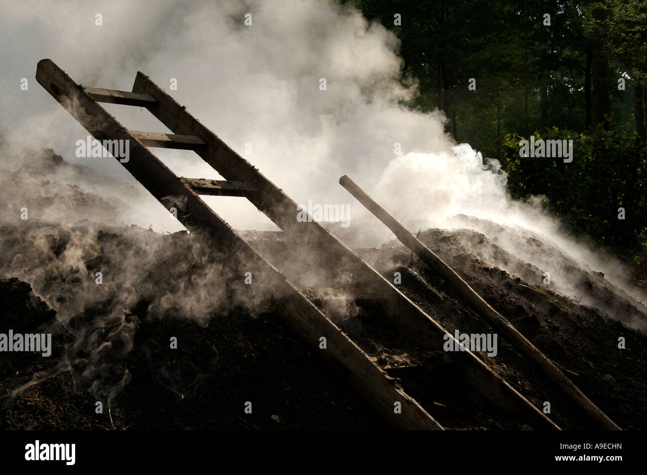 The ladder of a charcoal burner leans against the pile in which the ...