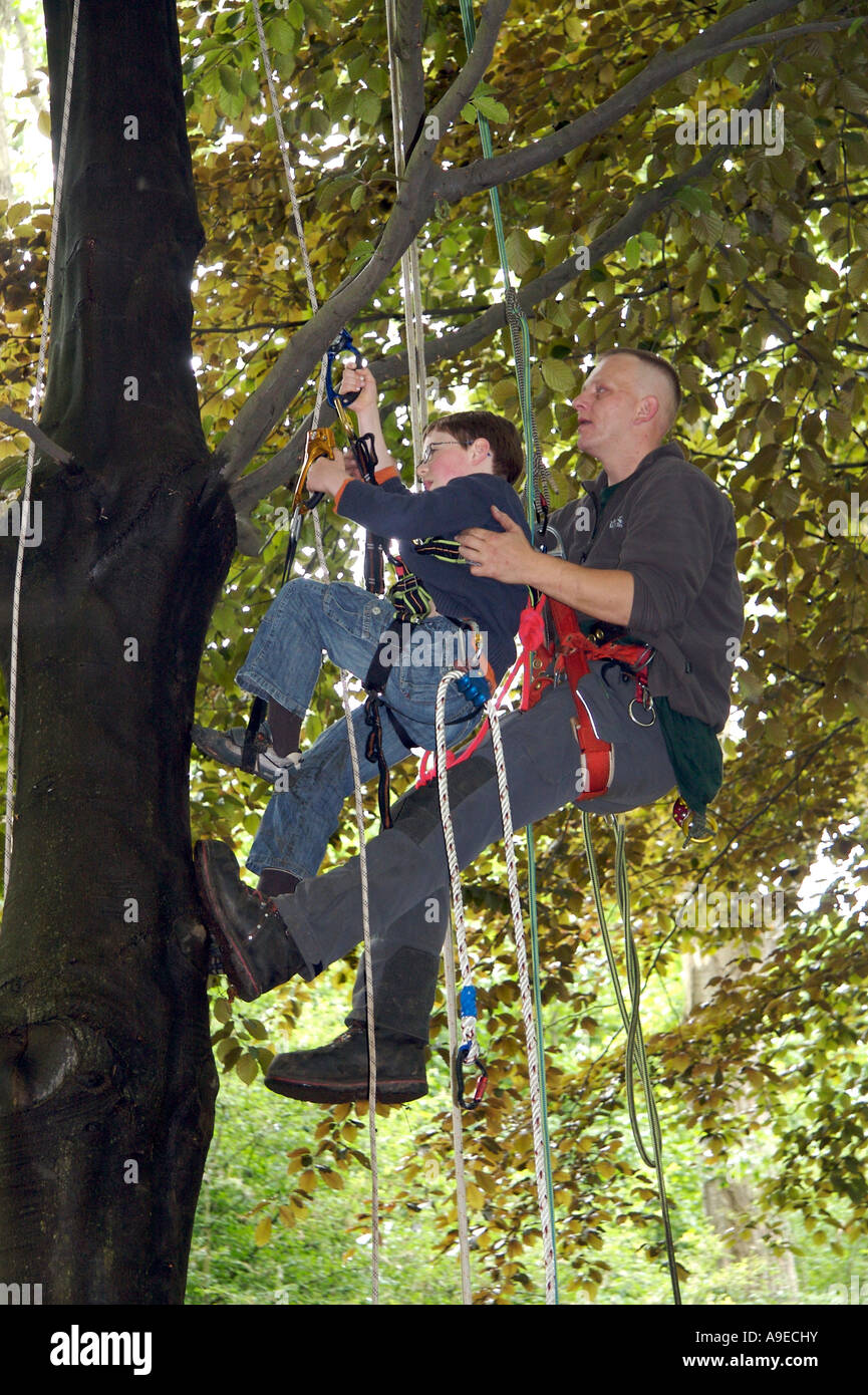 Tree climbing teacher and boy Stock Photo - Alamy