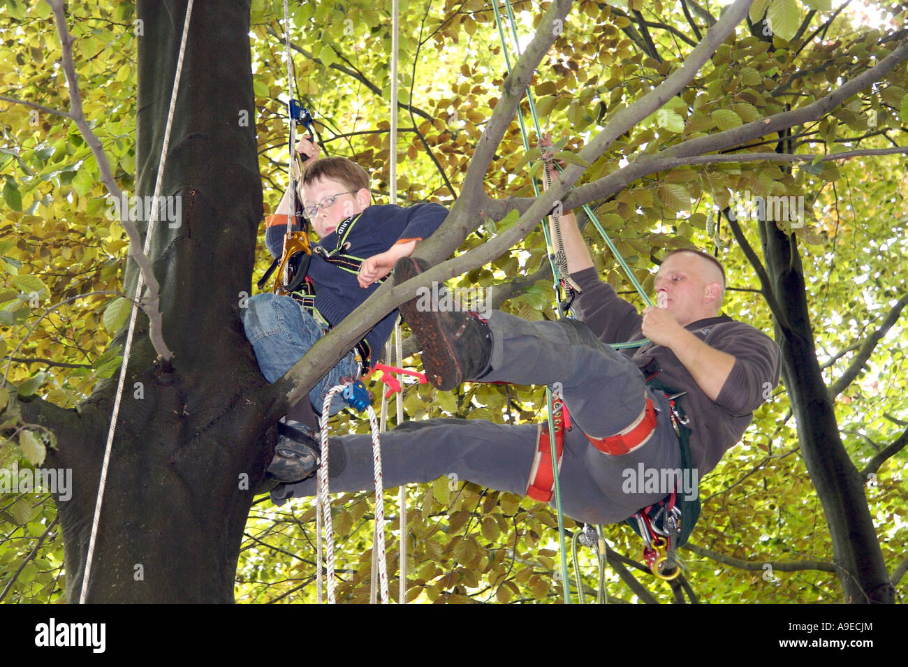 Tree climbing teacher and boy Stock Photo - Alamy