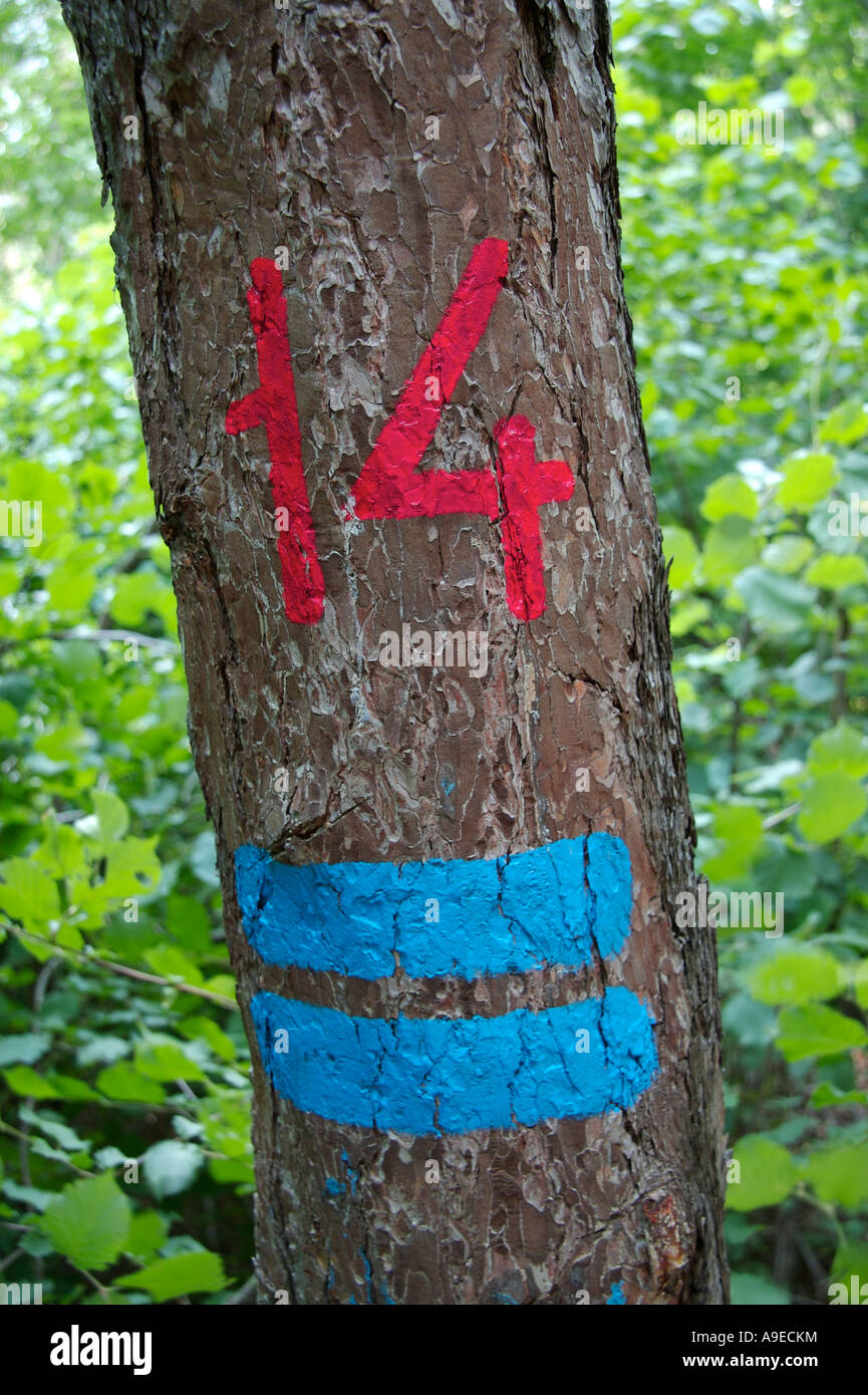 Tree signed with number 14 Stock Photo - Alamy