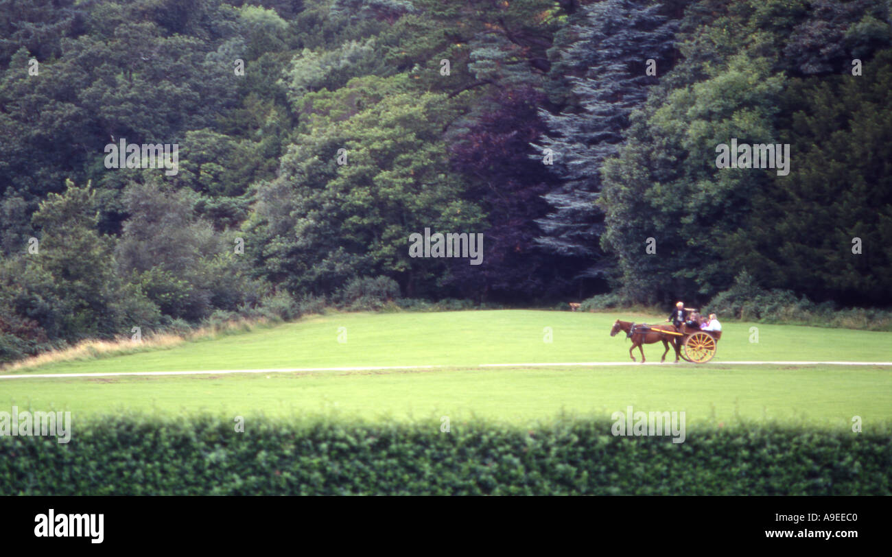 Jaunty Cart at Muckross abbey trotting animals working House Killarney ...