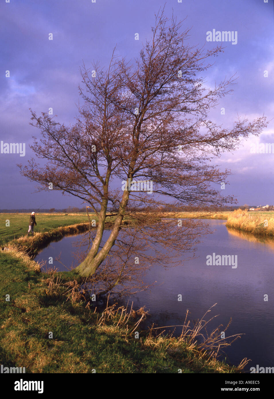 Fishing beside River Waveney at Geldeston Norfolk Stock Photo - Alamy