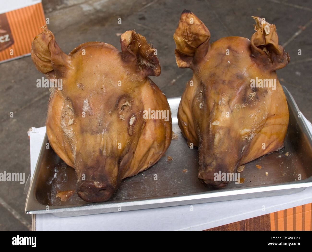 Pigs heads hi-res stock photography and images - Alamy