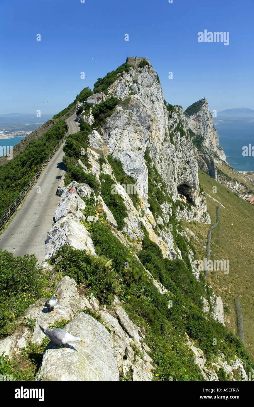 The Rock of Gibraltar Stock Photo - Alamy