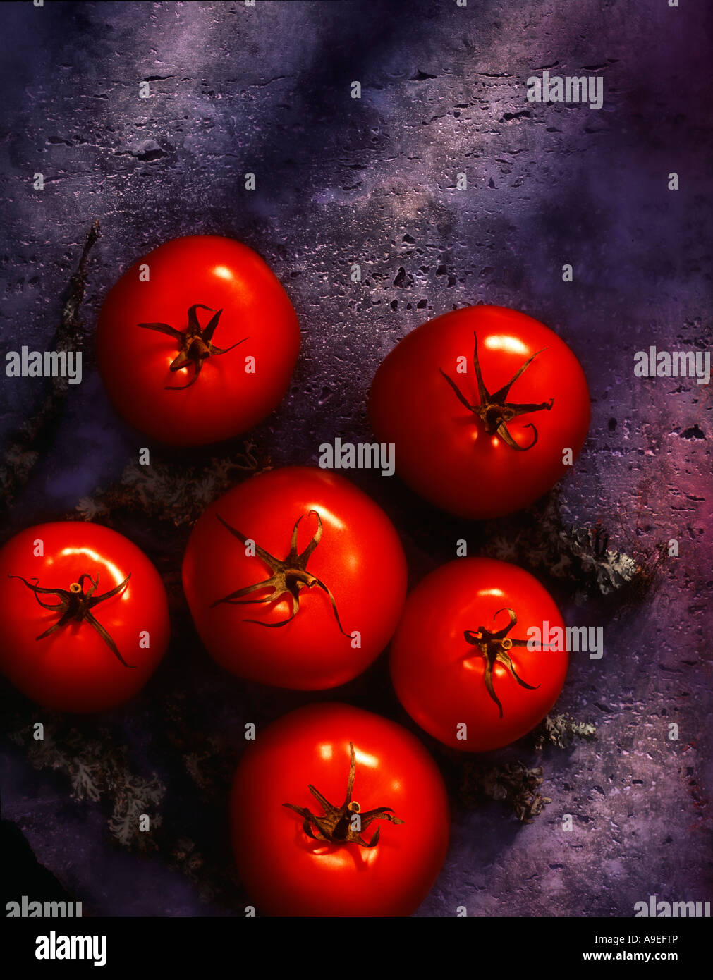 Six perfect tomatoes finish ripening Stock Photo - Alamy