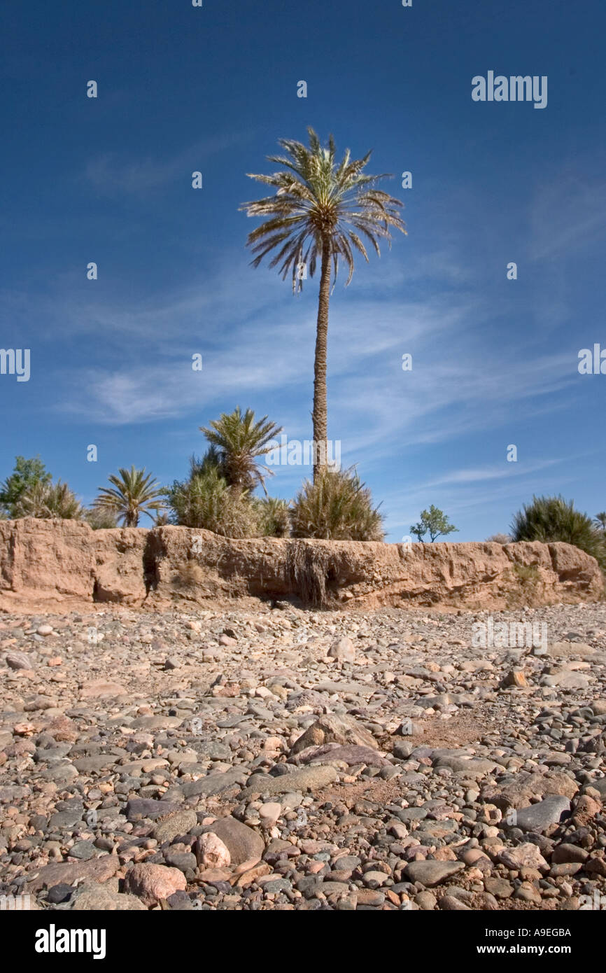 Dry riverbed near oasis Stock Photo - Alamy