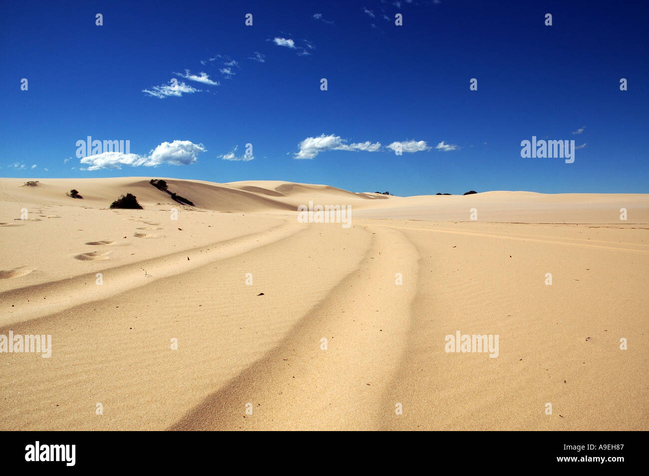 Stockton sand dune hi-res stock photography and images - Alamy