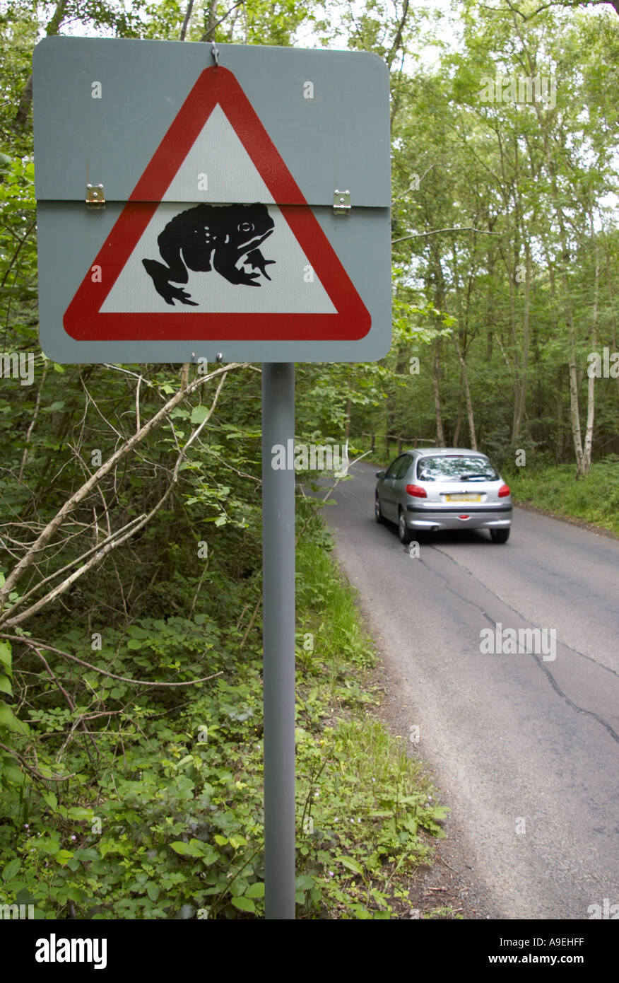 Toads road sign uk hi-res stock photography and images - Alamy