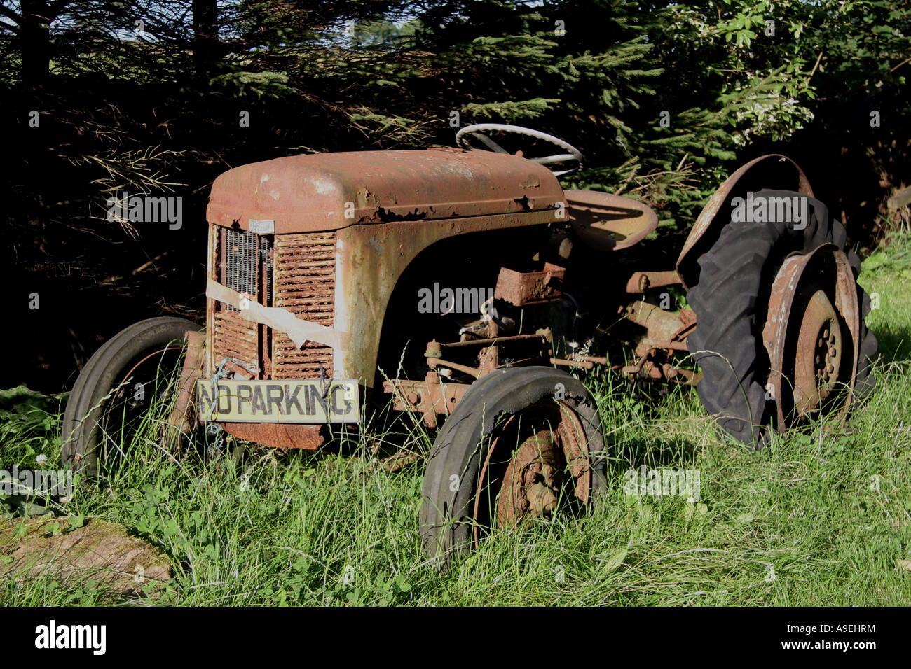 Old Massey Ferguson Stock Photo - Alamy
