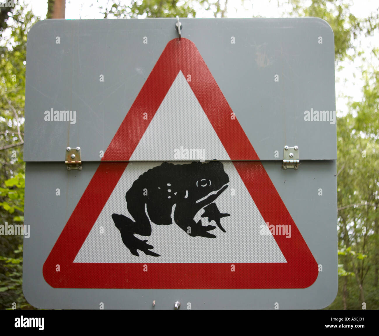 A Triangular Road Sign Warning Of Toads Crossing, Surrey,, 46% OFF