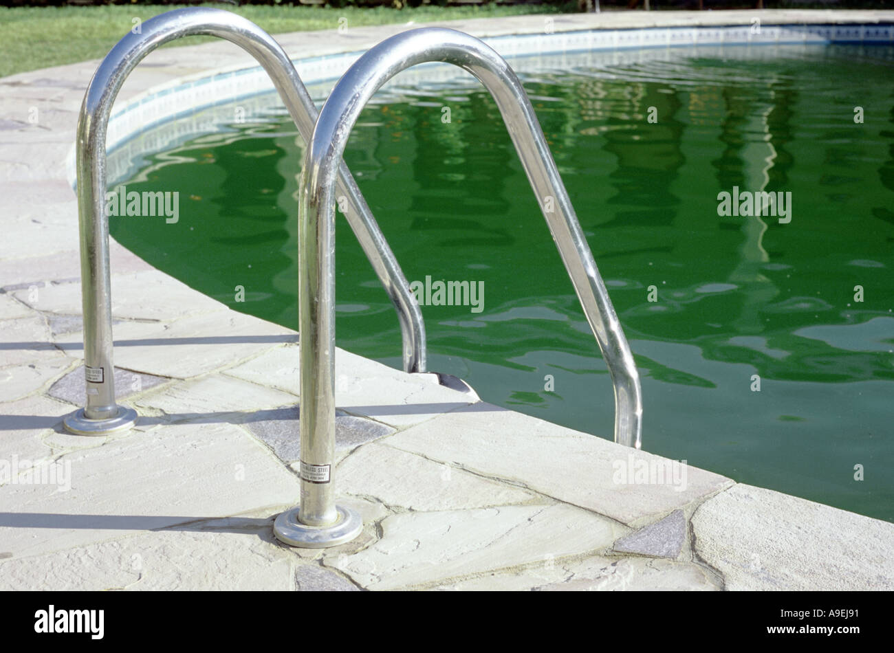 Steps into a green swimming pool Stock Photo - Alamy