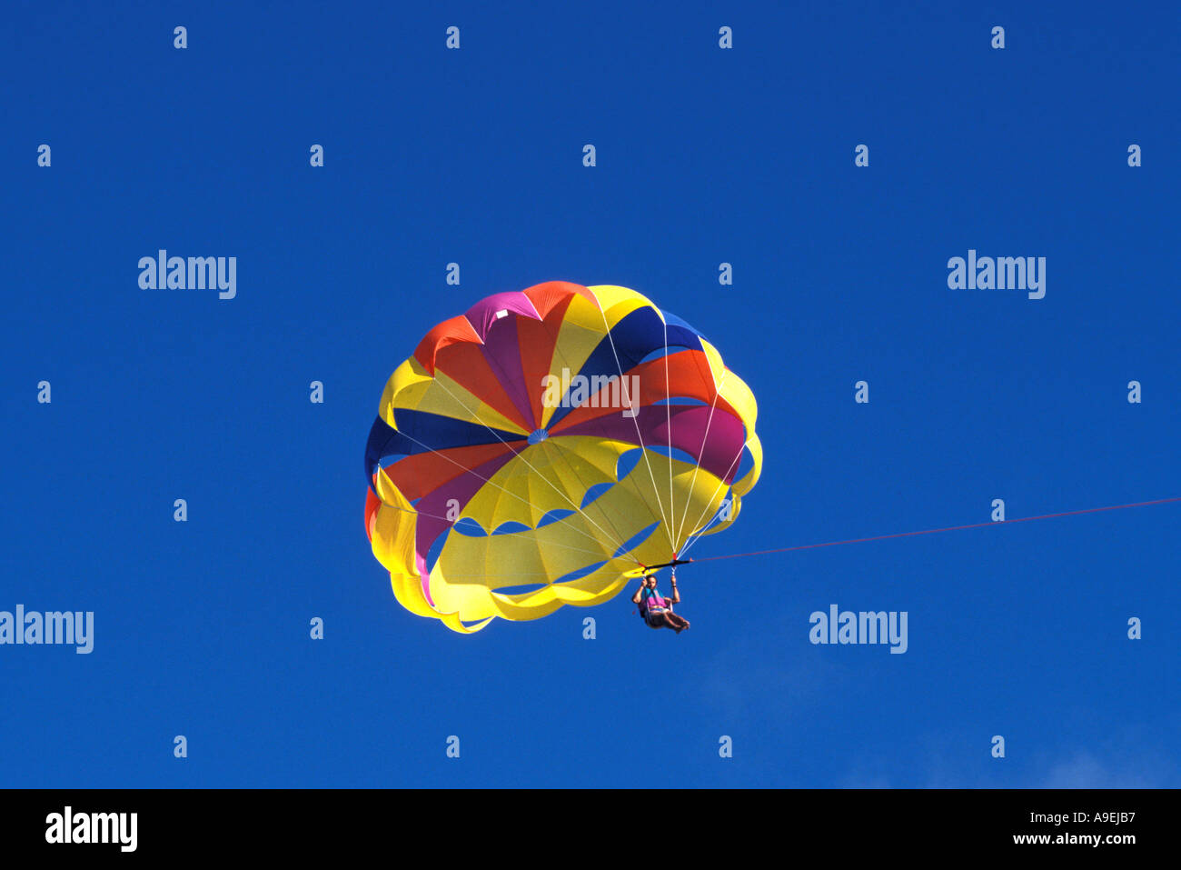 Purple parachute hi-res stock photography and images - Alamy