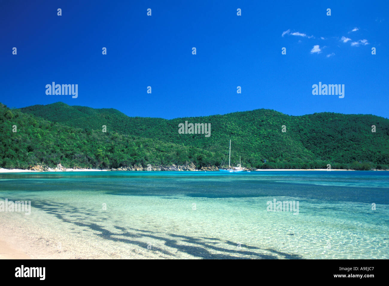 Reef Bay Beach Reef Bay St John Beach Guide | St John Beach Guide