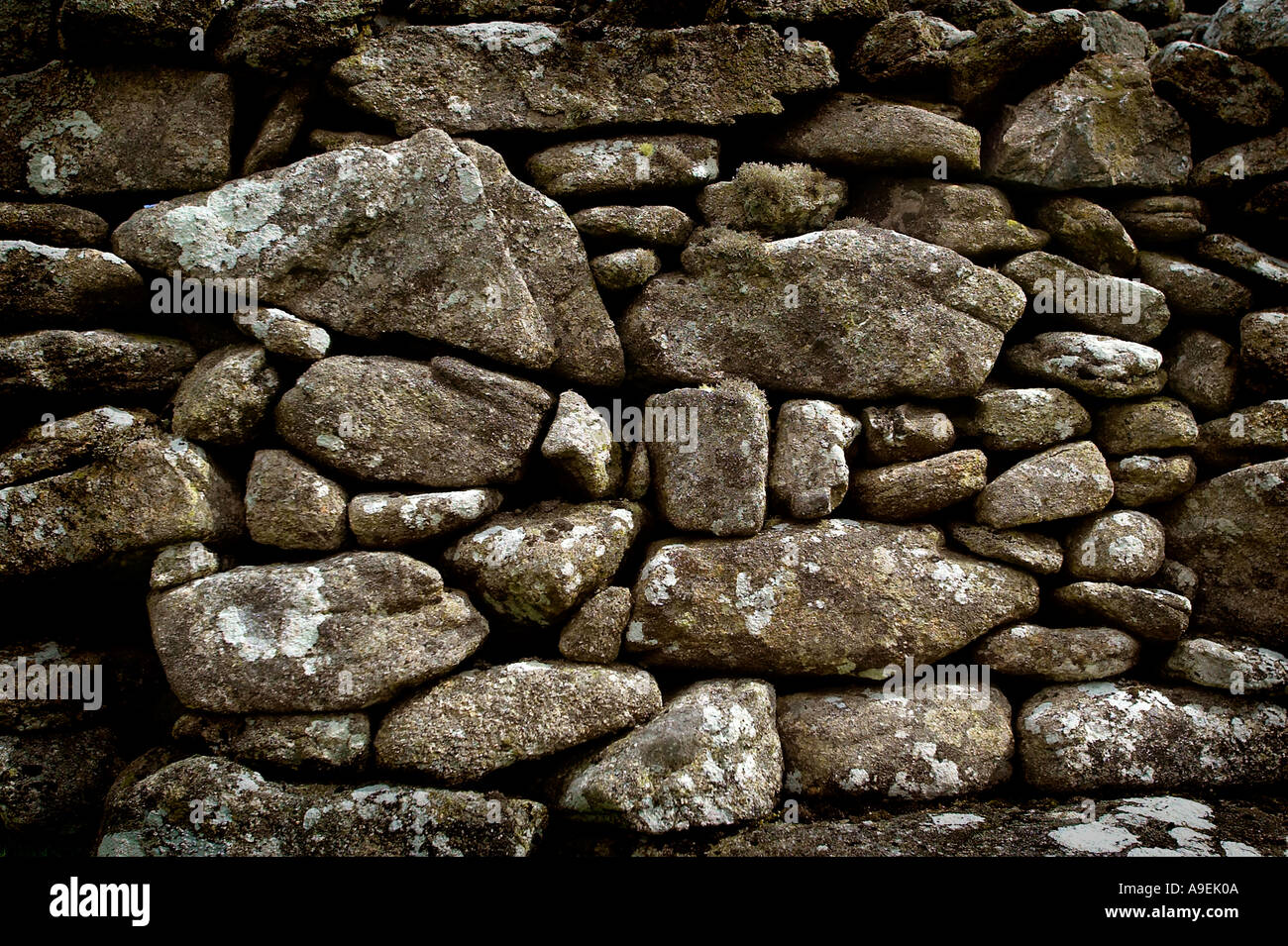 Dry stone wall Dartmoor Devon UK Stock Photo - Alamy