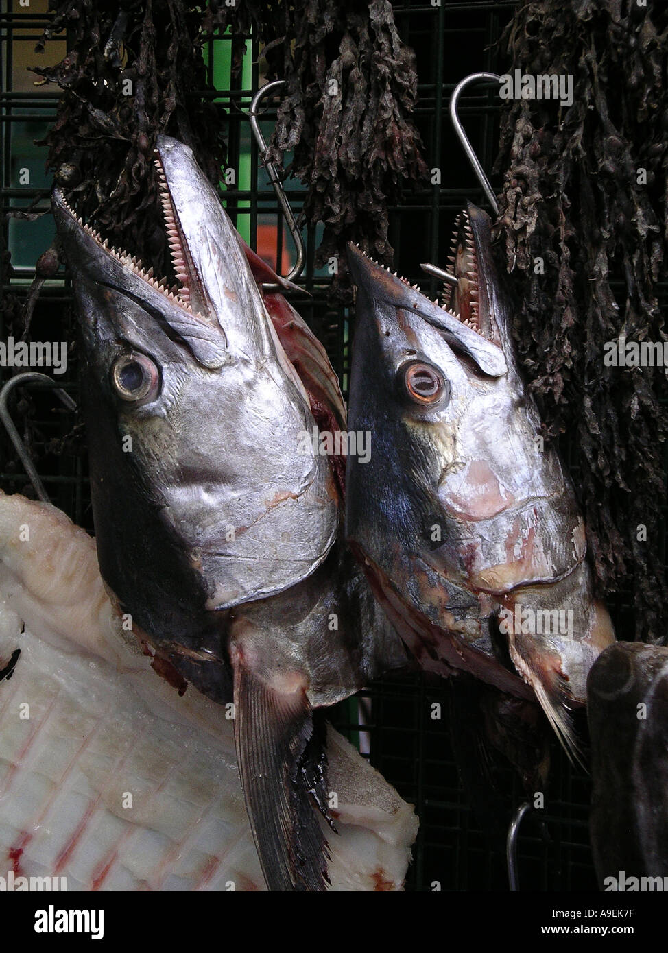 Fish Heads Borough Fish Market Stock Photo - Alamy